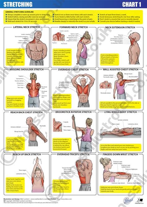 535 Best Images About Workouts And Exercise Routines On Pinterest