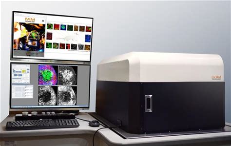 Kaist 교원창업기업 3차원 생체현미경 Ivm Cm 개발 충남일보
