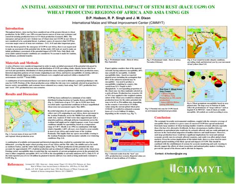 PDF An Initial Assessment Of The Potential Impact Of Stem Rust Race Ug99 On Wheat Producing