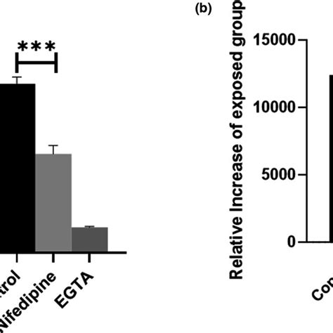 Nifedipine Administration Confirms The Presence Of Nifedipine‐sensitive