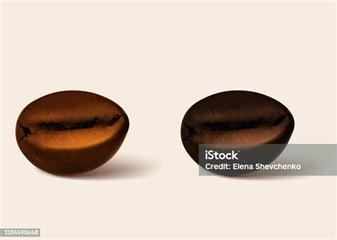 커피 곡물 커피 콩 현실적인 로스팅의 다양한 단계를 보여주는 커피의 향기를 묘사한 구성 갈색에 대한 스톡 벡터 아트 및 기타 이미지 Istock