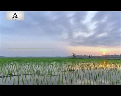 Teja Adapa Posted On Linkedin