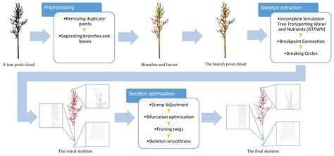 Remote Sensing Free Full Text A Novel Scheme About Skeleton Optimization Designed For Isttwn