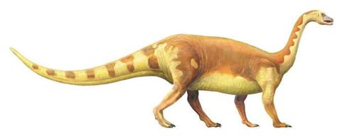 Eucnemesaurus Pictures And Facts The Dinosaur Database