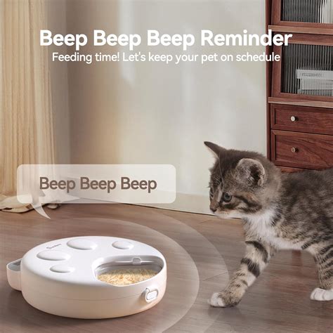 Automatic Wet Cat Food Dispenser With Ice Packs Timed Feeding 4 Com