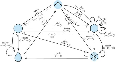Schematic Of The Cloud Microphysical Processes Included In The