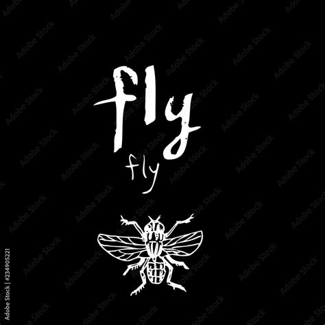 Stockvector 곤충 일러스트 손으로 그린 곤충 스케치 Adobe Stock