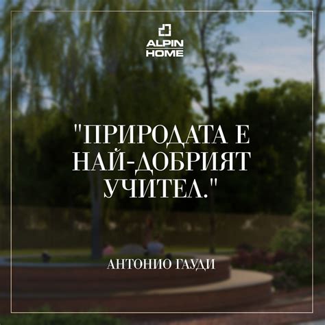 Kuzman Dimitrov On Linkedin Здравейте колеги и приятели Днес искам да ви потопя в света на…