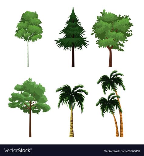 Set Of Trees Royalty Free Vector Image VectorStock Set Of Trees Royalty Free Vector Image VectorStock