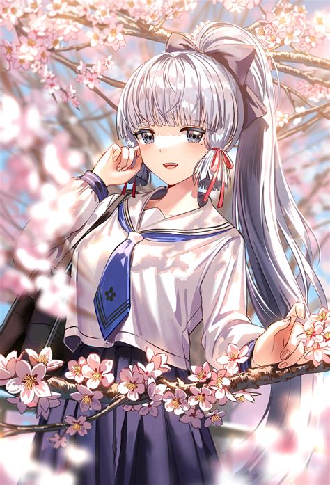 Cherry Blossoms Danbooru