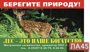 Аншлаги и знаки в лес