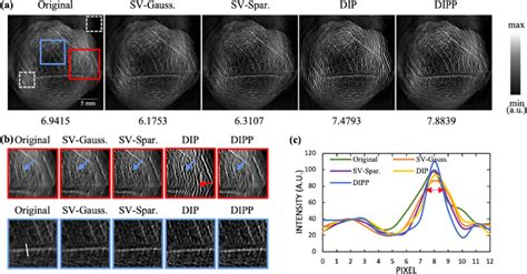 Pat Image Restoration Result Of The Tree Leaf Phantom A The Original Download Scientific