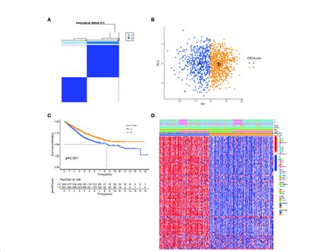 Identification Of Gene Subtypes Based On Degs A The Consensus Download Scientific Diagram