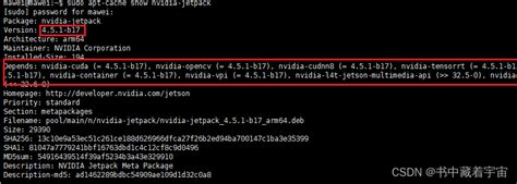 Jetson Nano的yolov8的tensorrt加速部署nvidia边缘端视觉部署 Csdn专栏