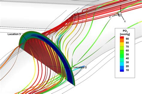 11 Streamlines Passing Through The Cross Sectional Slice At Location 2