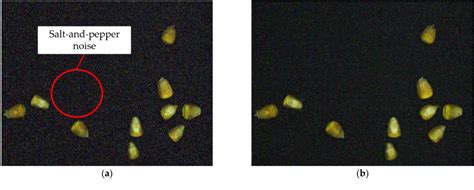 Figure 4 From Design And Experiment Of A Broken Corn Kernel Detection Device Based On The Yolov4
