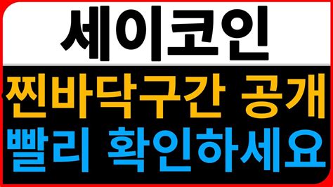 세이코인 전망 찐 바닥 구간 공개 빨리 대응 하세요 Youtube