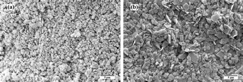Large Scale View Of Sem Morphology Of The Pelletized Sample Of A Mabicl