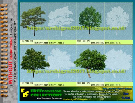 Tree Png Image Tif And Psd Lust Shade Architect Graphic Library