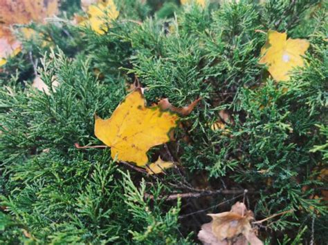 Знаки Зодіаку яким пощастить з грошима після 15 жовтня Hot News