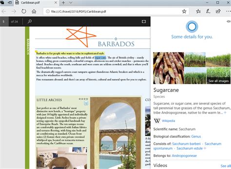 How To Rotate Pdf In Microsoft Edge Tncrimson