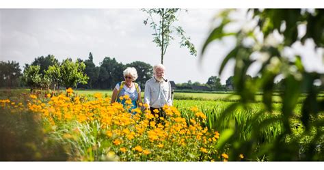 Нидерландия Биологичният разсадник рай за пчели и пеперуди Български Фермер