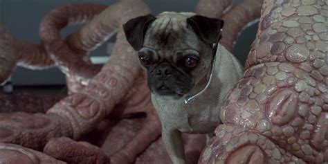 10 Most Lovable Aliens In Sci Fi Movie History