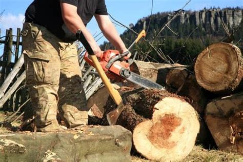 Tree Felling Techniques And Best Practices