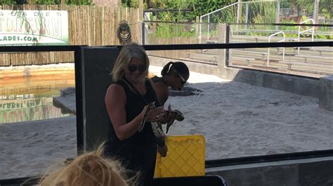 Karen Python Joy Youtube