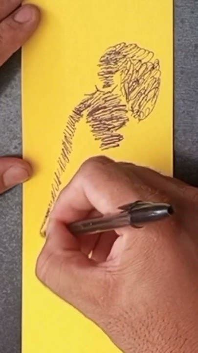 طراحی خط خطی سایه یک زن از بهزاد ساوانا Youtube