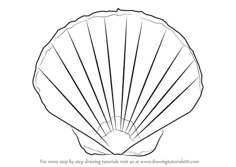 How To Draw A Seashell Everyday Objects Step By Step