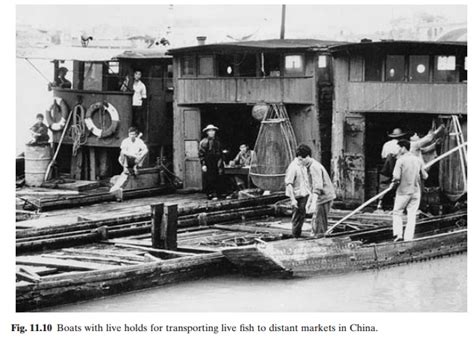 Sorting Handling Preservation And Transport In Aquaculture