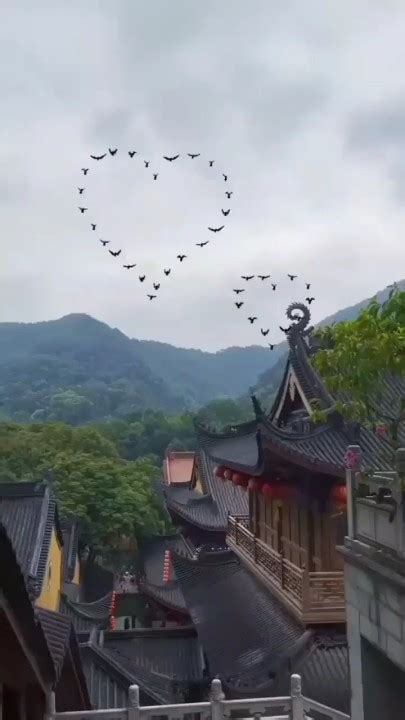 Wael Fahmy On Linkedin 😍☀️ ️