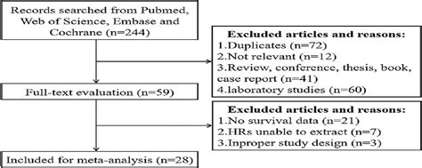 Association Of Human Telomerase Reverse Transcriptase Promot Journal Of Research In Medical