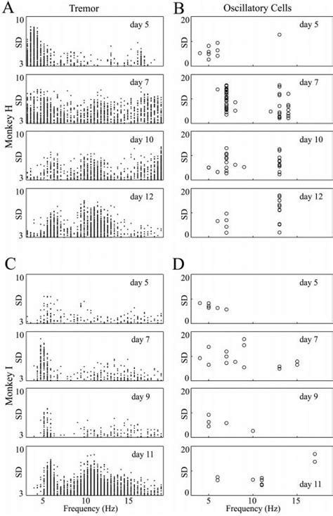 Evolution Of Tremor And Oscillatory Activity After Mptp Treatment Each