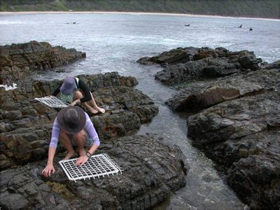Getting Started With R Environmental Computing