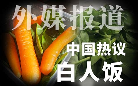 外媒报道 中国热议“白人饭” Albert英语研习社 Albert英语研习社 哔哩哔哩视频