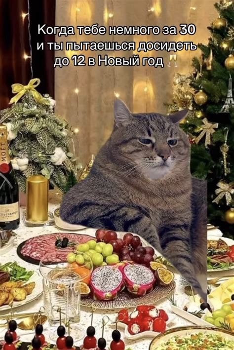 Loveyoustepan кот Степан Новый Год котэ картинки праздник смешные картинки и другие