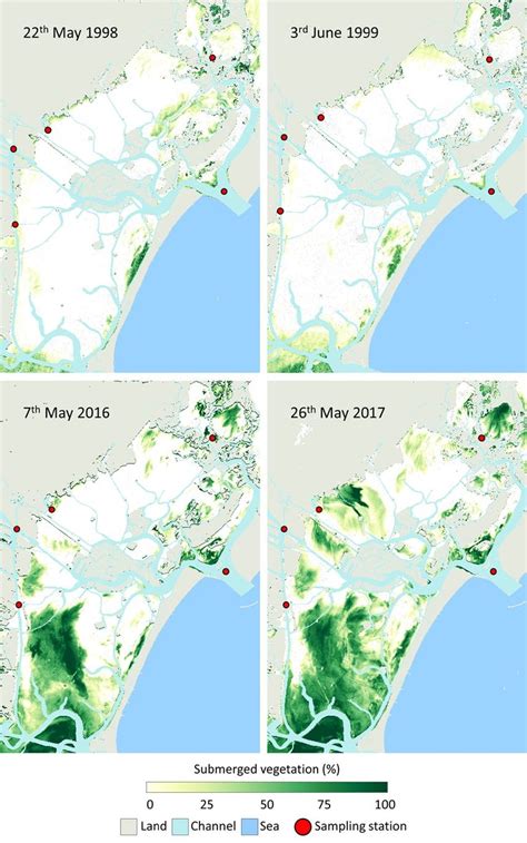 Spatial Distribution Of Macrophyte Coverage Seagrasses And Download Scientific Diagram