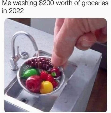 What Is This Groceries For Ants R Thingsforants