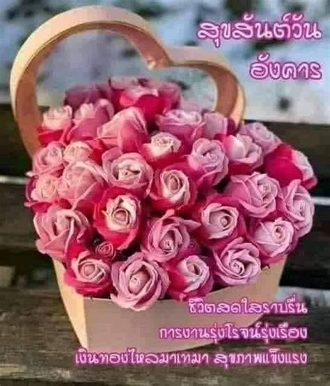 ภาพสวยงามหลากหลายสไตล์เรา สวัสดีวันอังคารสดใส สุขกาย สบายใจ มีความสุข กับการ ทำ