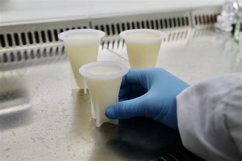 London Babe Creates Lego Like Vagina Blocks To Help Women Suffering Pain During Sex What