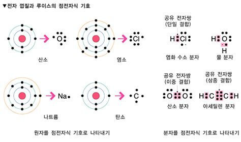 금성출판사 티칭백과
