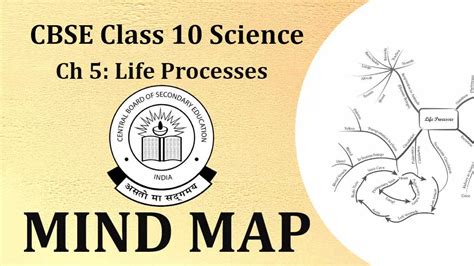 Cbse Class 10 Chapter 5 Science 2023 Mind Map Life Processes Mind Map