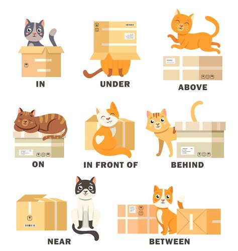 Прийменники місця в англійській мові в картинках для дітей та дорослих
