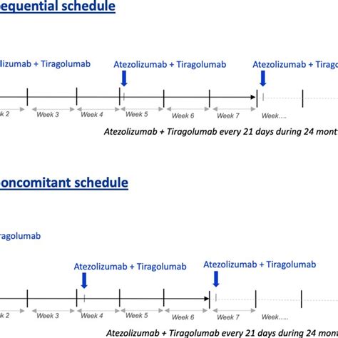 Decision Diagram Algorithm For Assessment Of Sequential Schedule Left