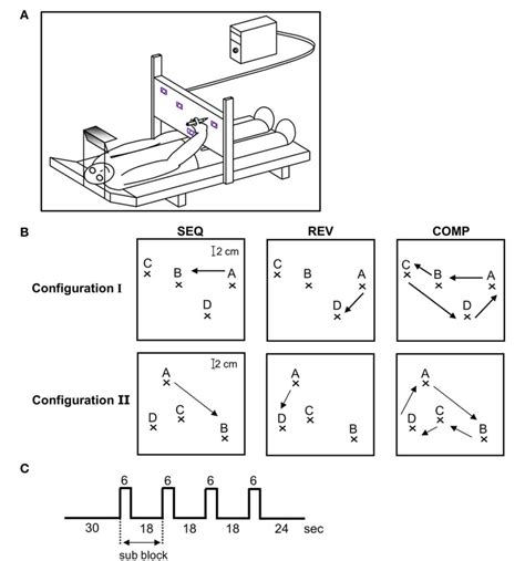 Figure 1 From The Activity In The Contralateral Primary Motor Cortex Dorsal Premotor And