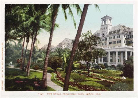 The Royal Poinciana Postcard 1000museums