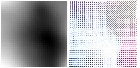 Comparison Of Interpolation Methods Download Scientific Diagram