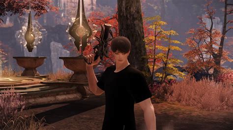 로스트아크 인벤 남자헌터 커마공유 로스트아크 인벤 스크린샷 갤러리